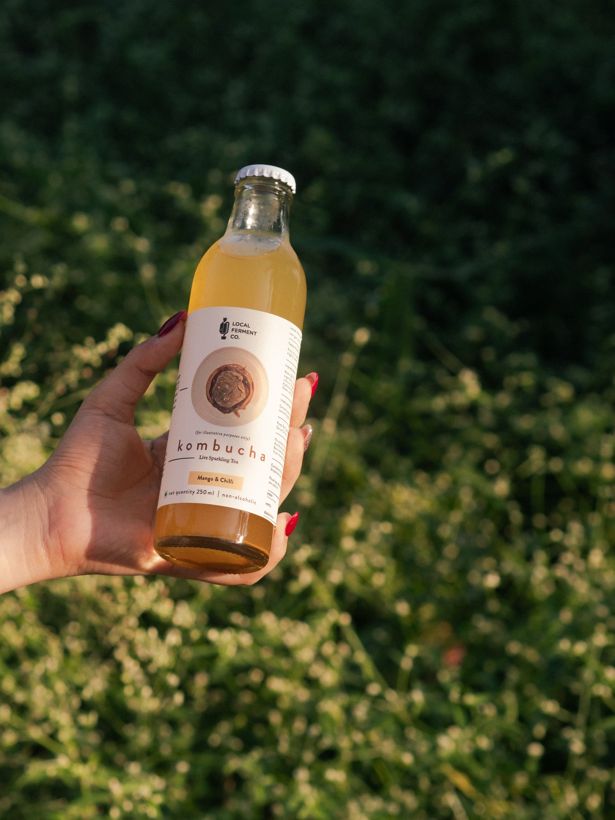 Kombucha — Local Ferment Co