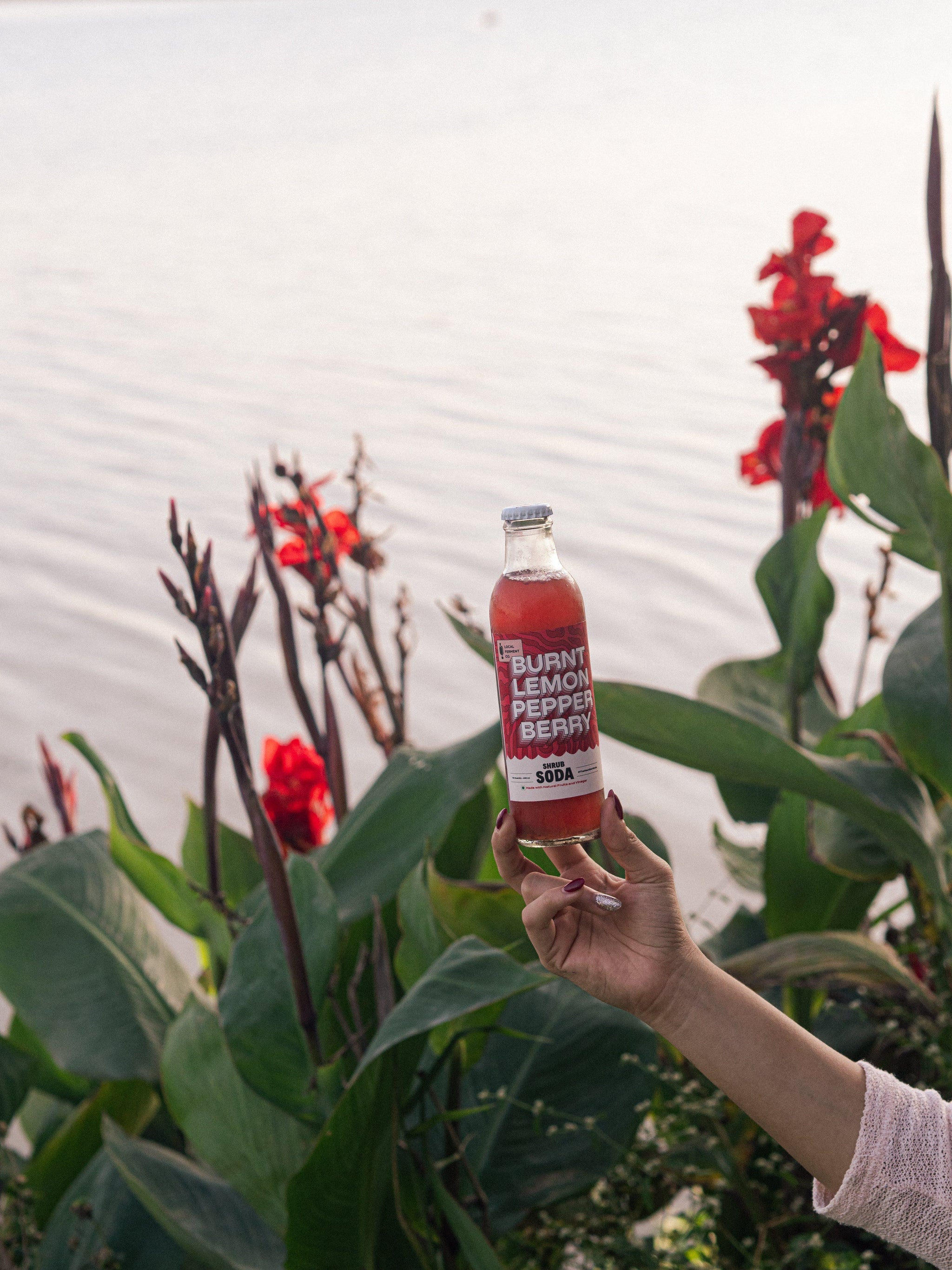 Shrub Soda — Local Ferment Co