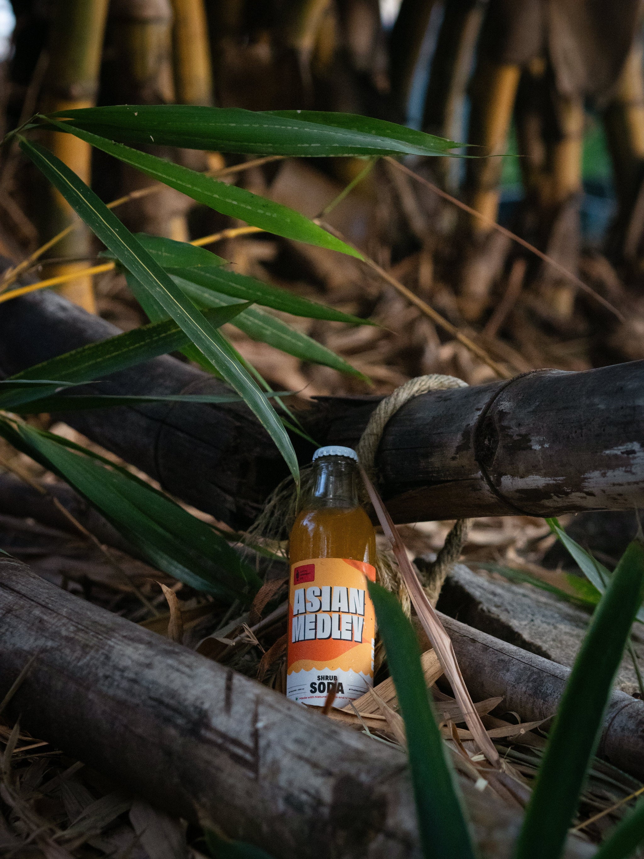 Shrub Soda — Local Ferment Co