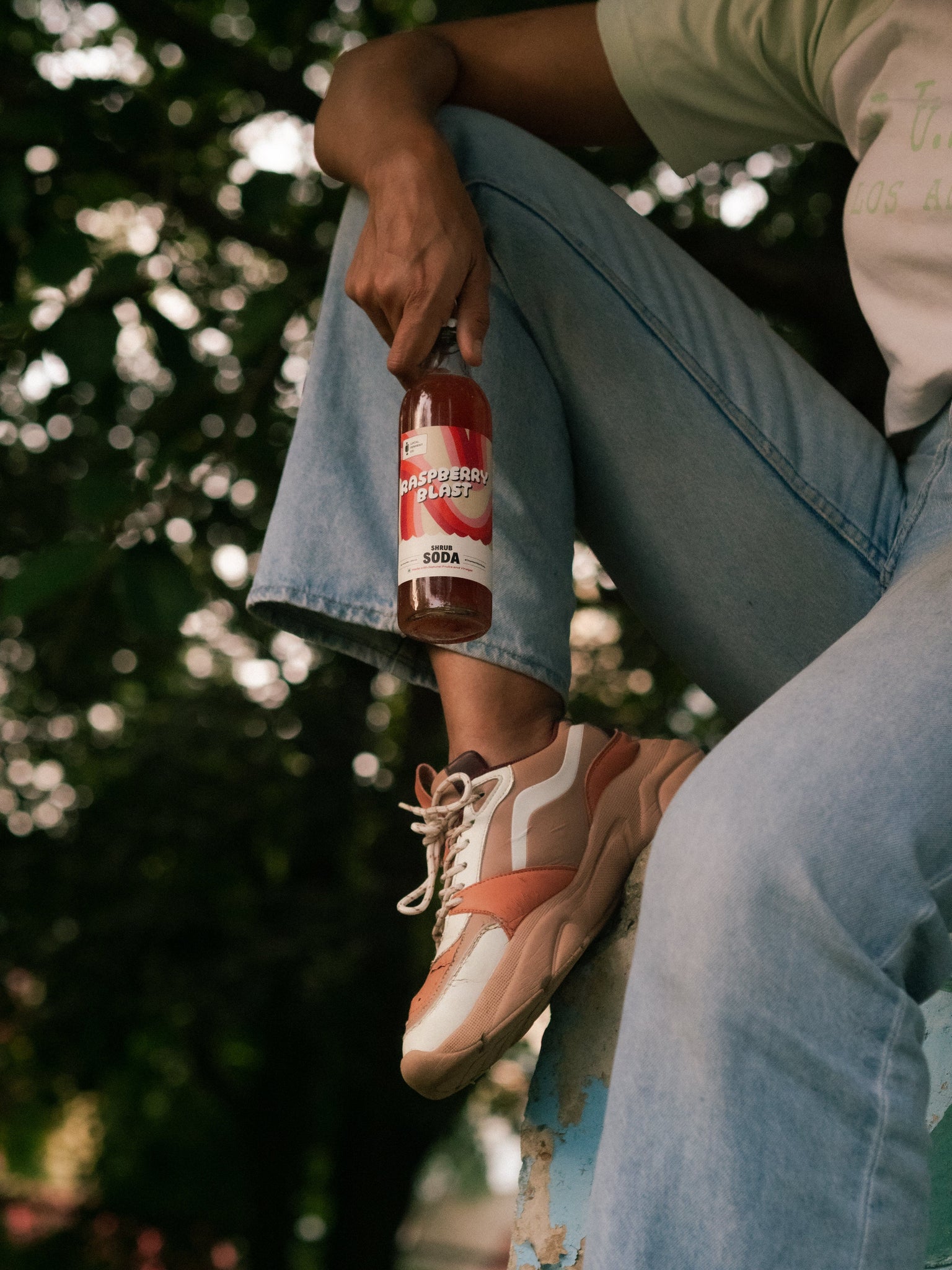 Shrub Soda — Local Ferment Co