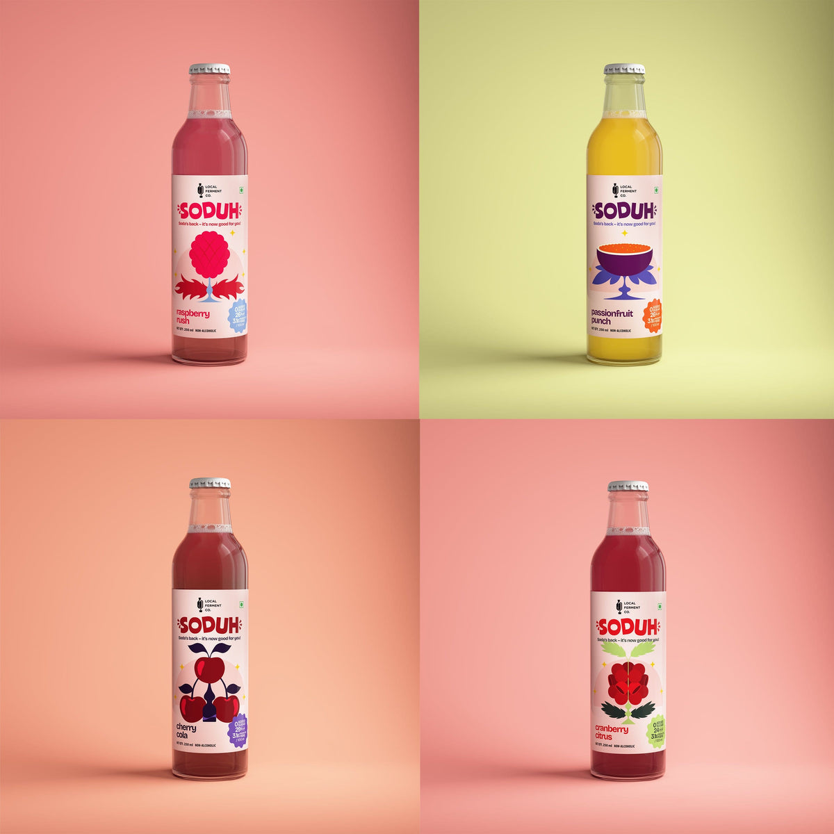 Soduh Variety Pack [Pack of 4] — Local Ferment Co